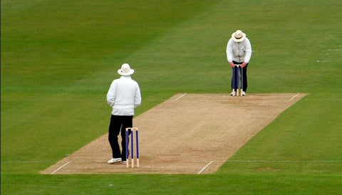 View from the Middle - George Sharpe – English Willow Cricket Bats