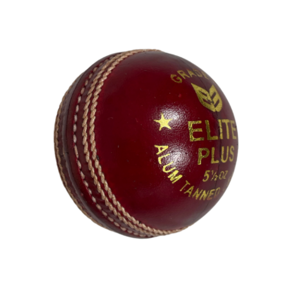 SHOP B3 CRICKET – English Willow Cricket Bats