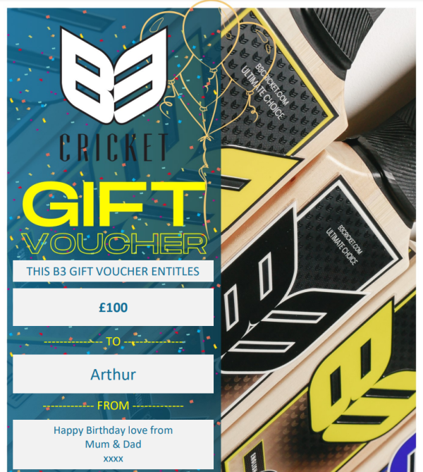 SHOP B3 CRICKET – English Willow Cricket Bats