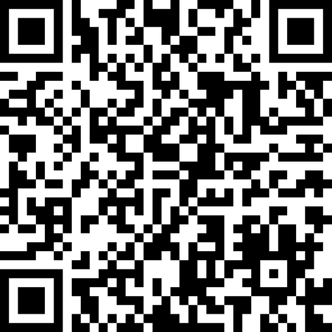 Unique in the world of Cricket Bat Making – English Willow Cricket Bats